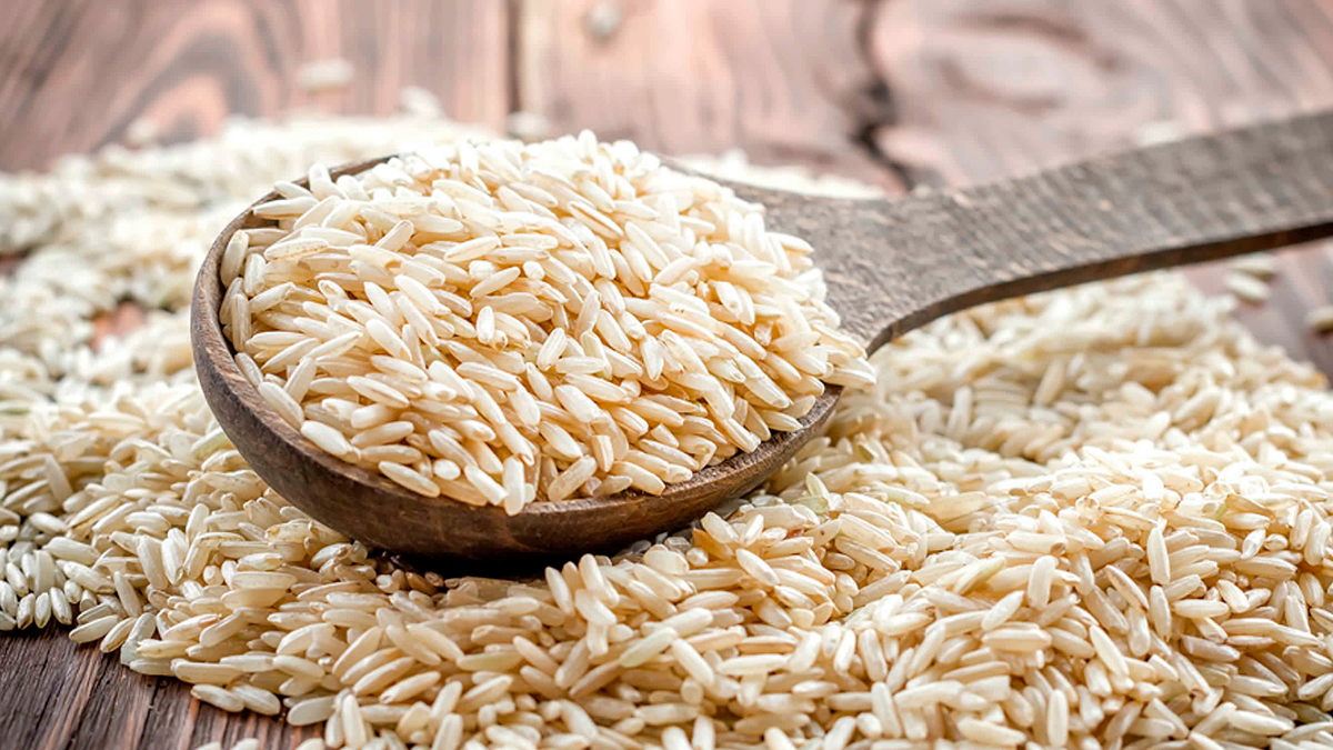 Arroz Integral – Sport Nutrition Technology